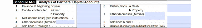 Form 1065 Instructions: U.S. Return of Partnership Income